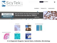 scytek.com Domain Owner Whois and Analysis