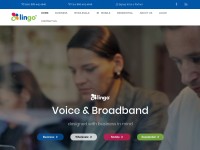 lingo.com Domain Owner Whois and Analysis