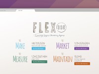 flex360.com Domain Owner Whois and Analysis
