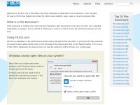filext.com Domain Owner Whois and Analysis