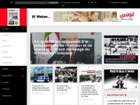 elwatan.com Domain Owner Whois and Analysis