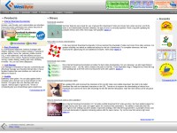westbyte.com Domain Owner Whois and Analysis
