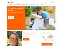 ing.com Domain Owner Whois and Analysis