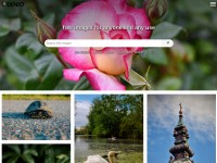 pixnio.com Domain Owner Whois and Analysis