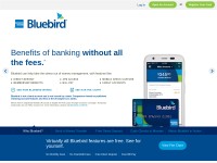 bluebird.com Domain Owner Whois and Analysis