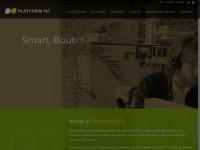 platform161.com Domain Owner Whois and Analysis