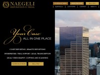 naegeliusa.com Domain Owner Whois and Analysis