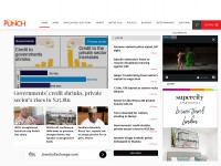 punchng.com Domain Owner Whois and Analysis