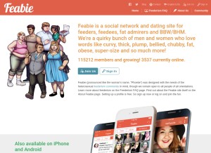 feabie.com Domain Owner Whois and Analysis