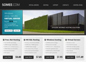 somee.com Domain Owner Whois and Analysis