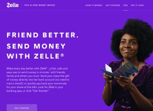 zellepay.com Domain Owner Whois and Analysis